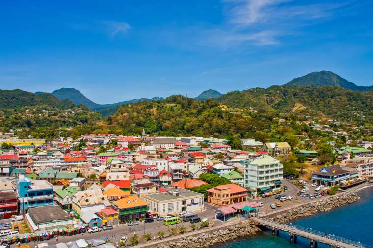 Role of Authorized Agents in Dominica - Best Citizenships